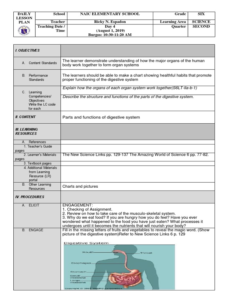DAILY LESSON PLAN August 1 | PDF | Digestion | Stomach