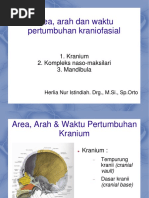 Anatomi Maksila & Mandibula | PDF