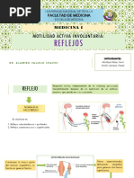 Reflejos Osteotendinosos (Rot) | PDF