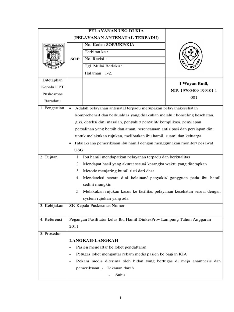 SOP ANC Terpadu Dan USG | PDF