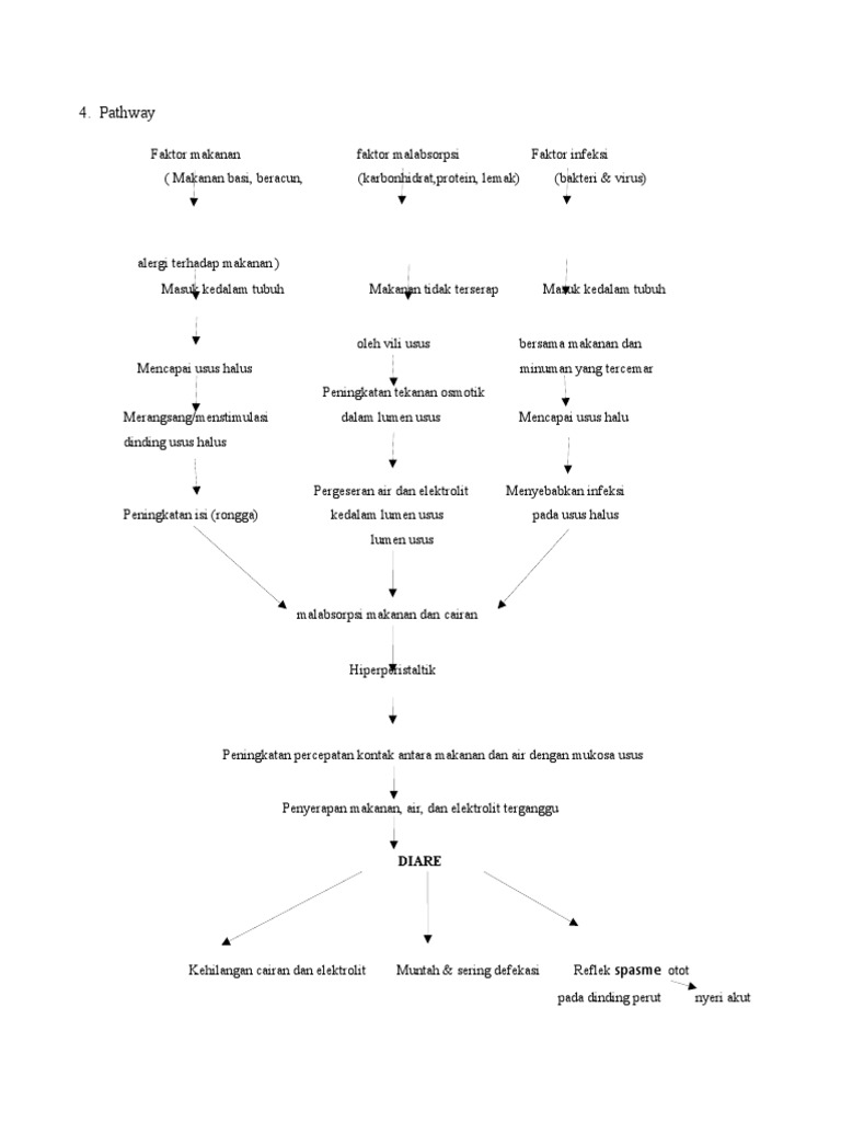 Pathway SNH | PDF | Kesehatan Holistik