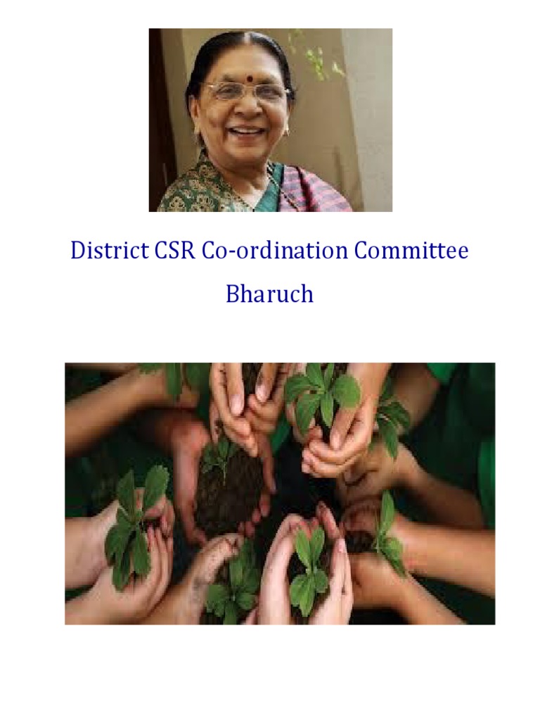 CSR Report | PDF | Corporate Social Responsibility | Malnutrition