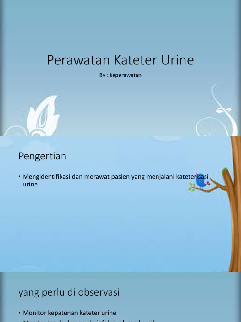 Perawatan Kateter Urine | PDF