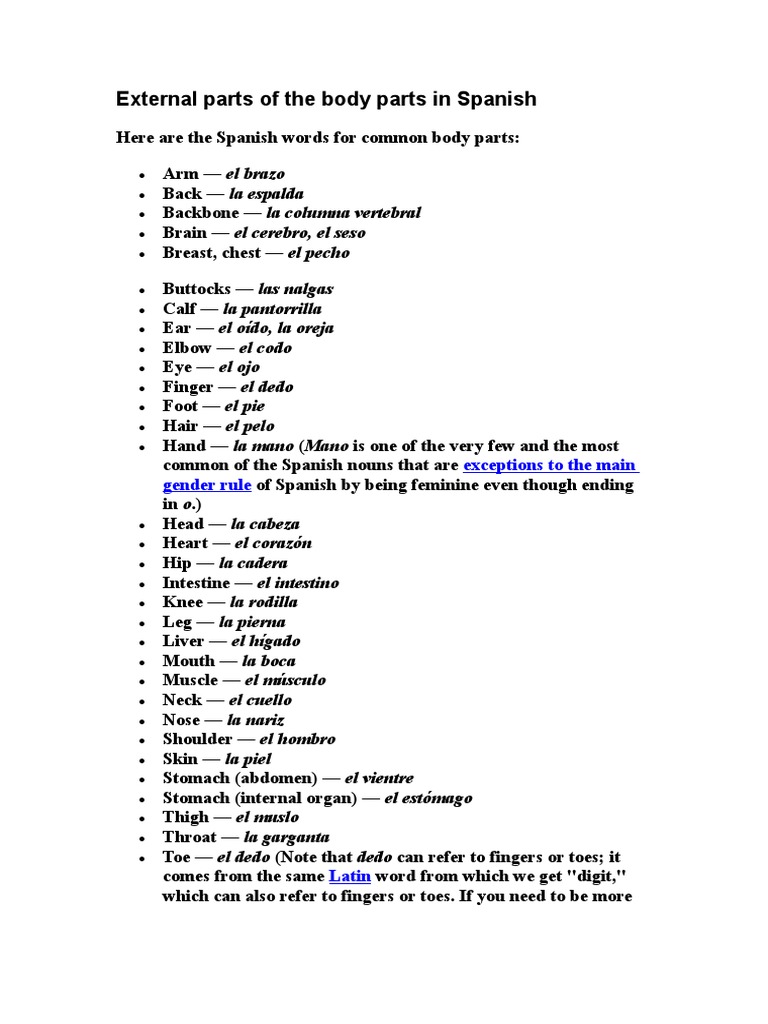 External Parts of The Body in Spanish With English Translation | PDF