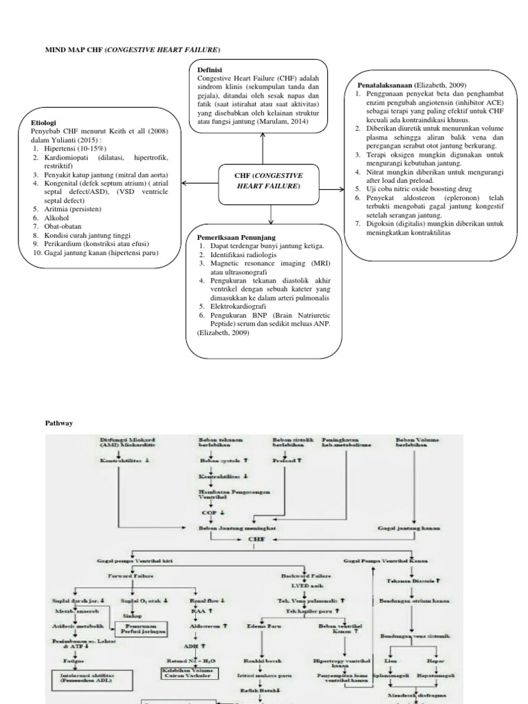 Mind Map CHF | PDF