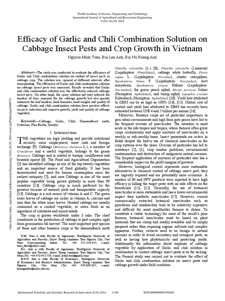 The Study of Chili Pepper | PDF | Cabbage | Agriculture