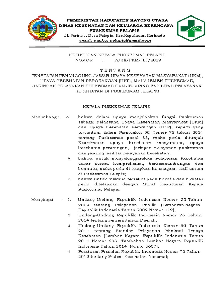 Penetapan Penanggung Jawab UKM dan UKP di Puskesmas Pelapis | PDF | Pengembangan Diri ...