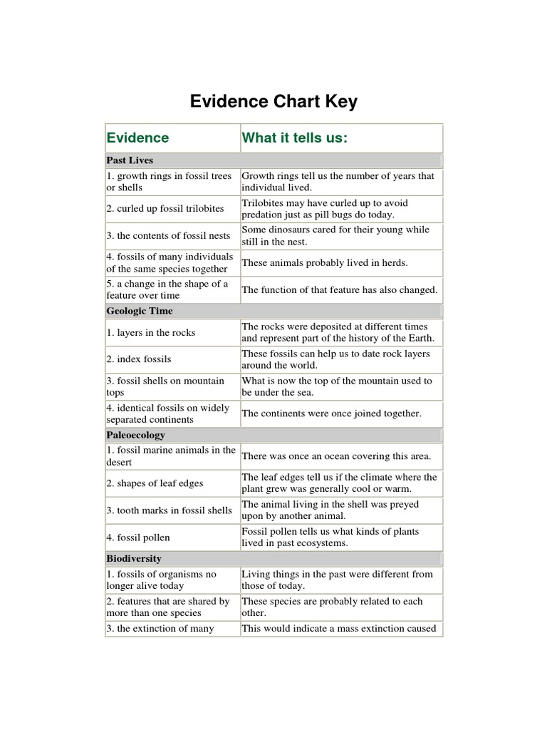 Evidence Chart Key: Evidence What It Tells Us | PDF | Fossil | Extinction