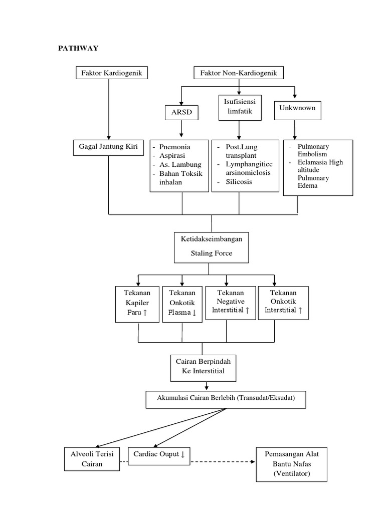 Pathway Edema Paru | PDF
