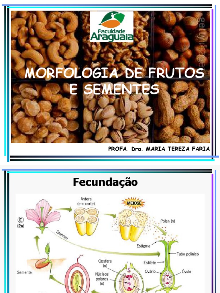 Morfologia de Frutos e Sementes | PDF | Fruta | Semente