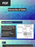 Traditional File Processing System | PDF | Client–Server Model | Databases