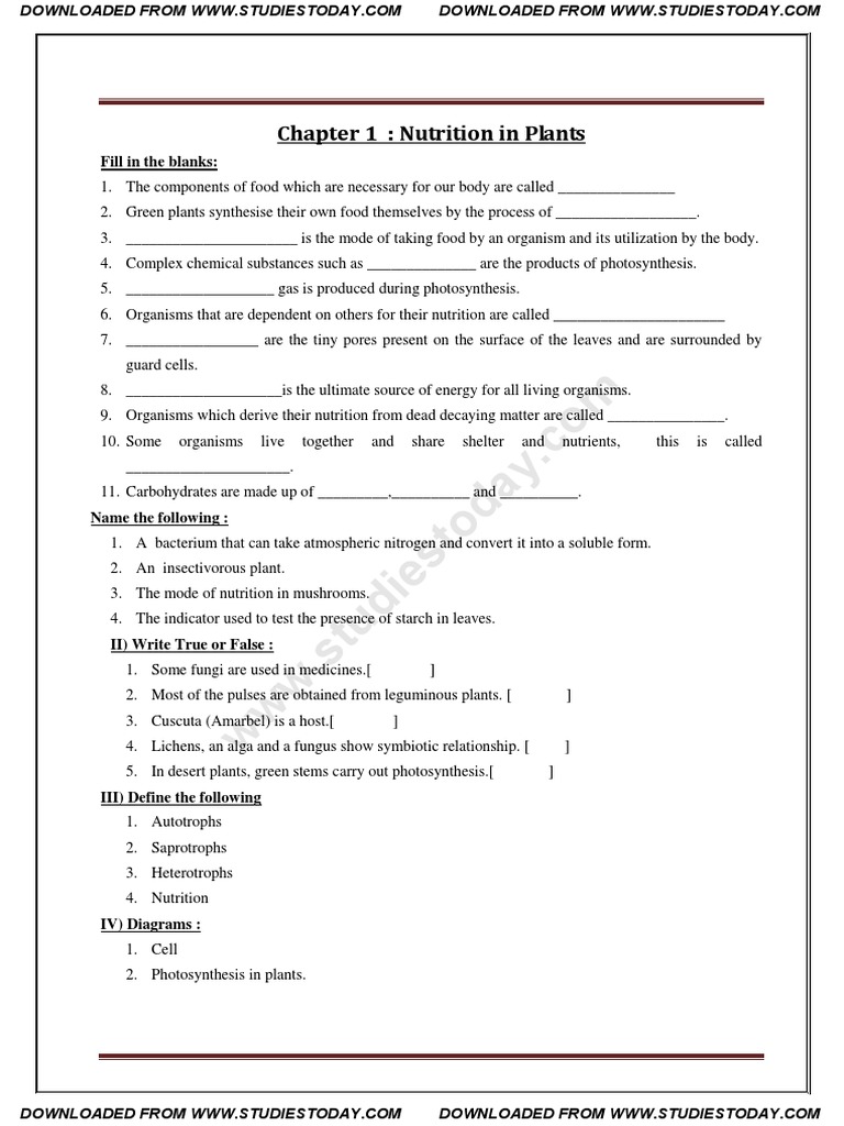 Chapter 1: Nutrition in Plants: Fill in The Blanks | PDF | Plants | Ecology