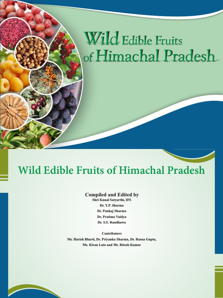 Wild Edible Fruits of Himachal Pradesh | PDF | Biodiversity | Foods