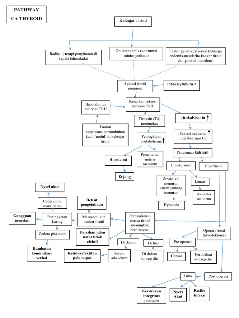 Pathway CA Thyroid | PDF