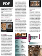 Extermination Letter | PDF | Pest Control | Wellness