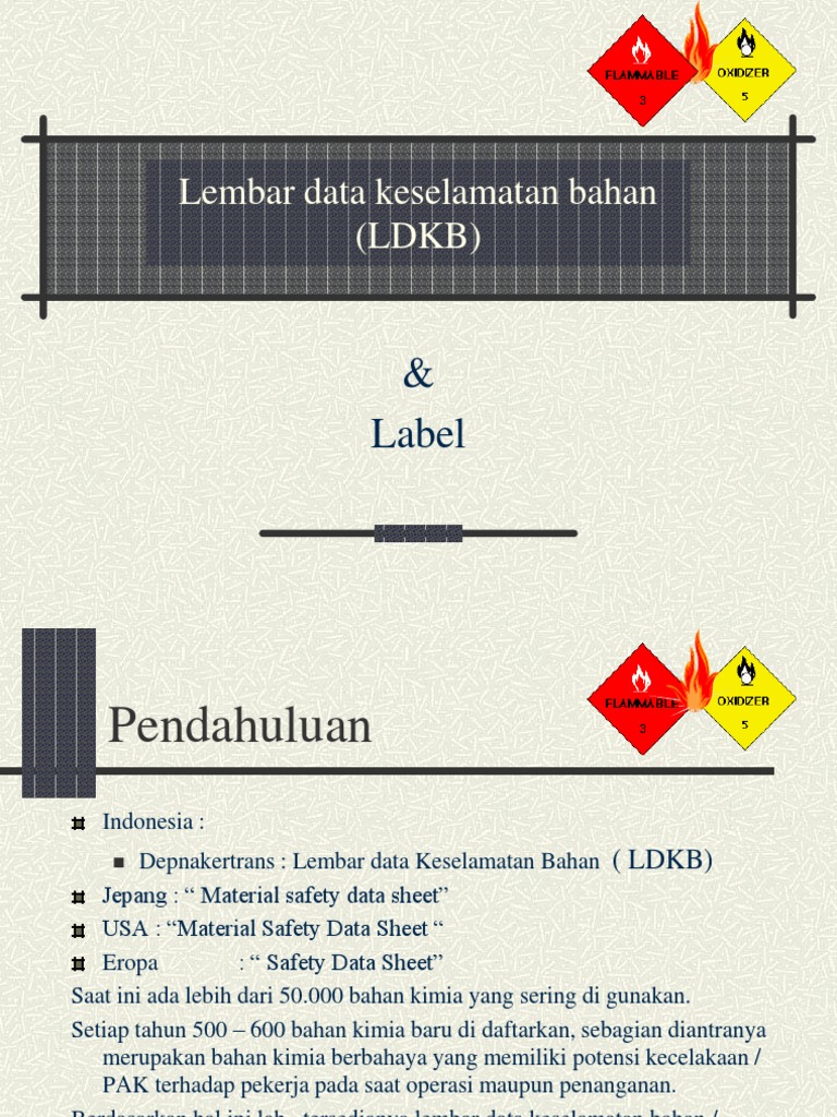 LDKB dan Label Bahan Kimia Berbahaya | PDF | Safety | Chemistry
