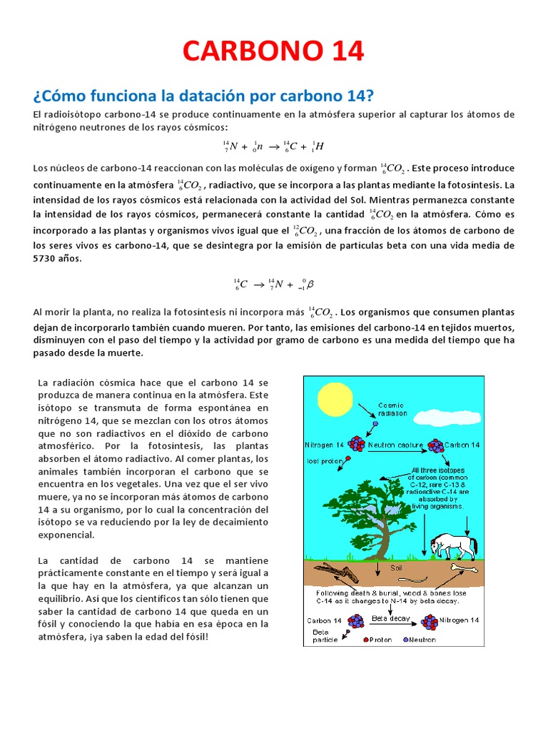 Carbono 14 | PDF | Datación por radiocarbono | Carbón
