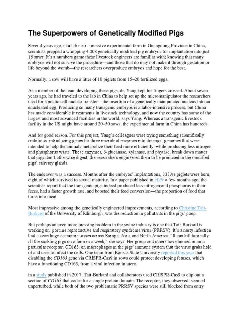 The Promise and Challenges of Genetically Engineered Pigs with Enhanced ...