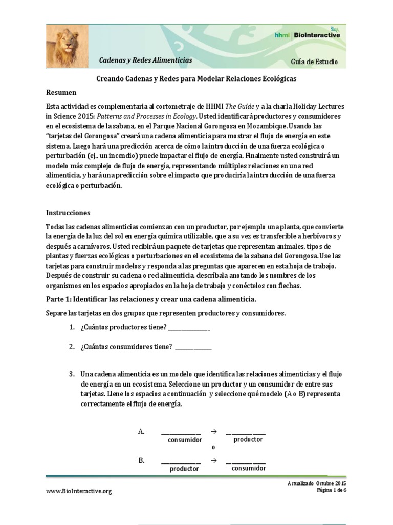Food Chains Student - Spanish PDF | PDF | Red alimentaria | Biogeoquímica