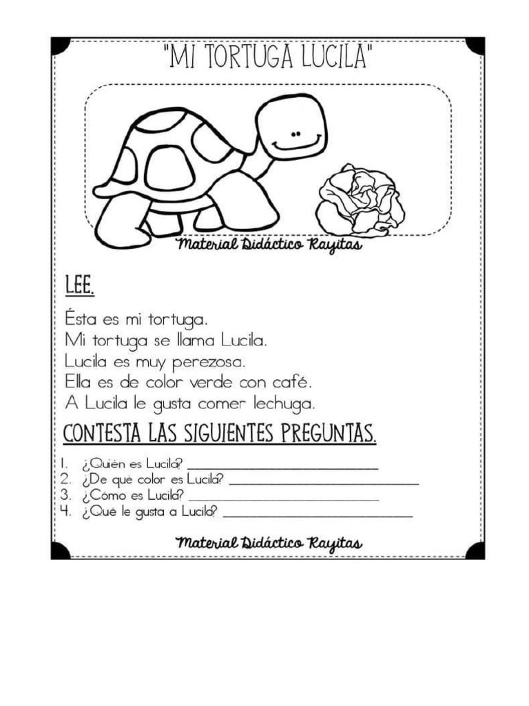 Lecturas Primero Basico | PDF