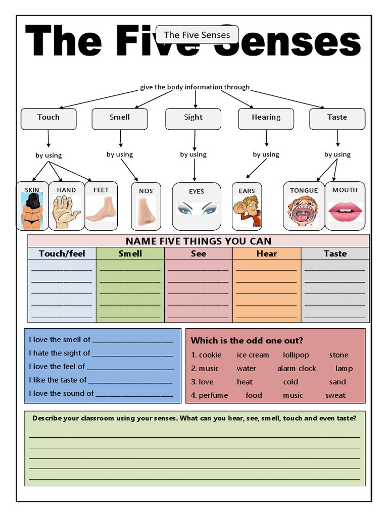 Engaging with the Five Senses | PDF | Wellness | Lifestyle