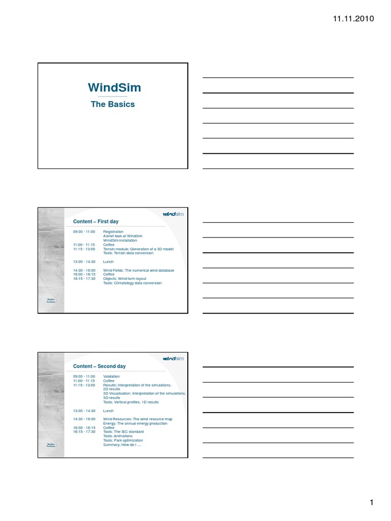 WindSim The Basics Overview | PDF | Computer Simulation | Wound