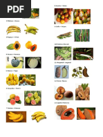 Animales en Xinka | PDF