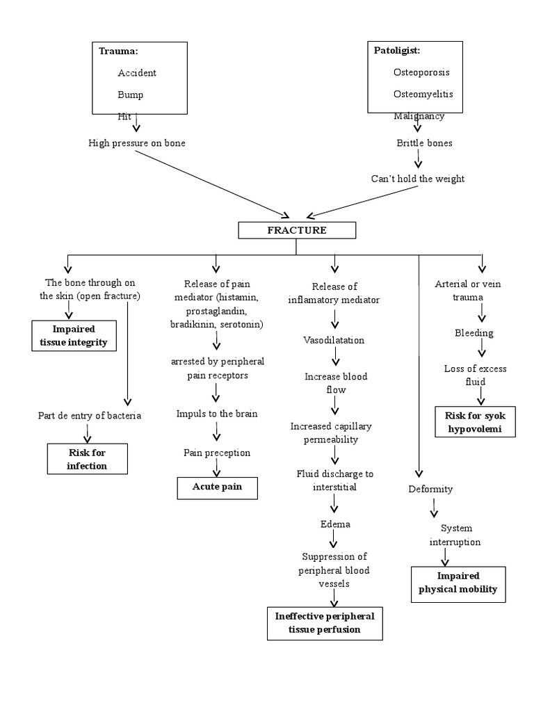 Pathway | PDF | Blood Vessel | Angiology