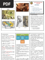 Teoría Asiática de Alex Hrdlicka | PDF | Antropología