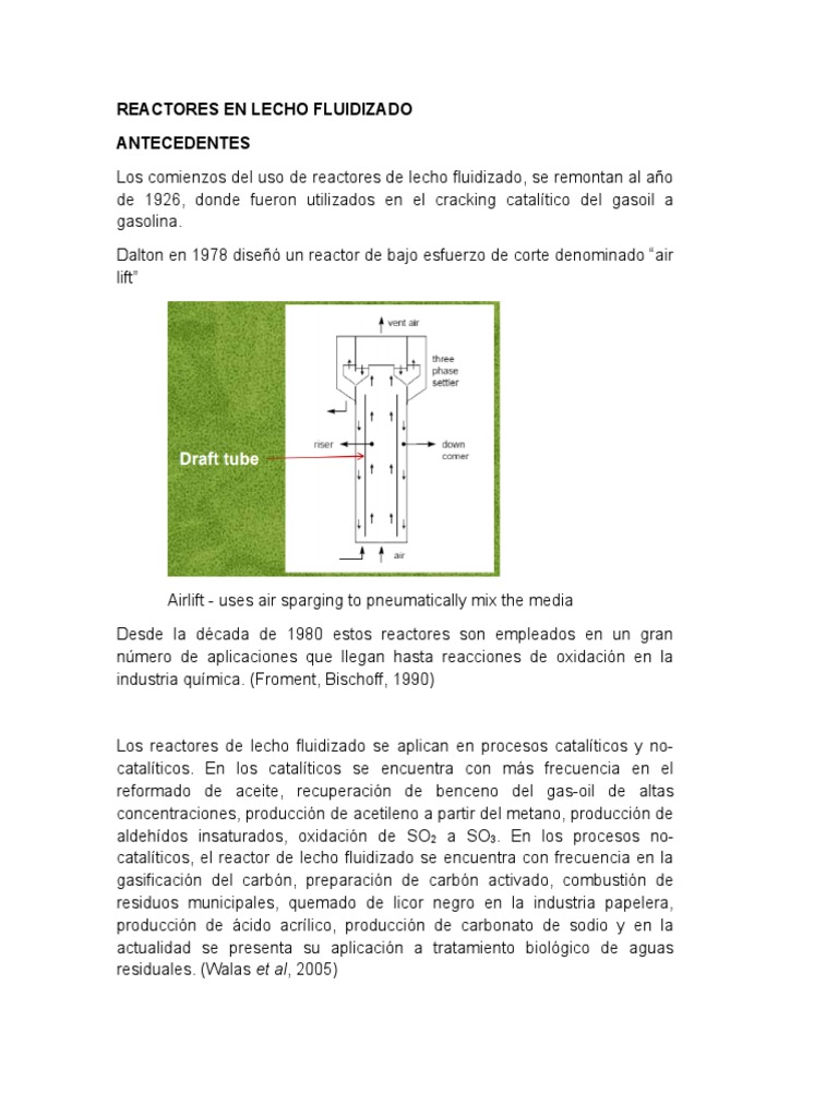 Biorreactores de Lecho Fijo y Fluidizado | PDF | Catálisis | Aguas ...