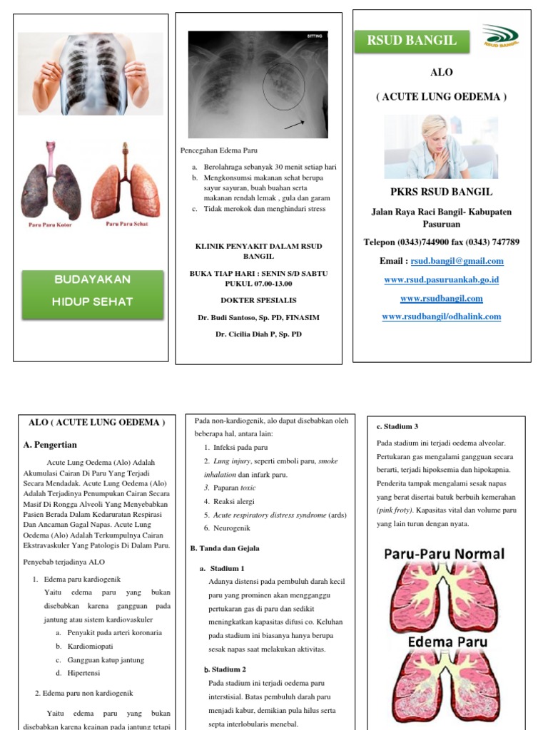 Pencegahan dan Tanda Gejala Acute Lung Oedema (ALO) | PDF