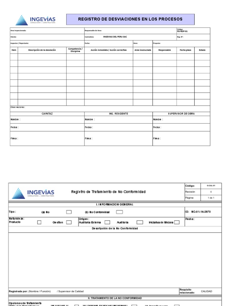Formatos Ppi | PDF | Auditoría | Informática y tecnología de la información