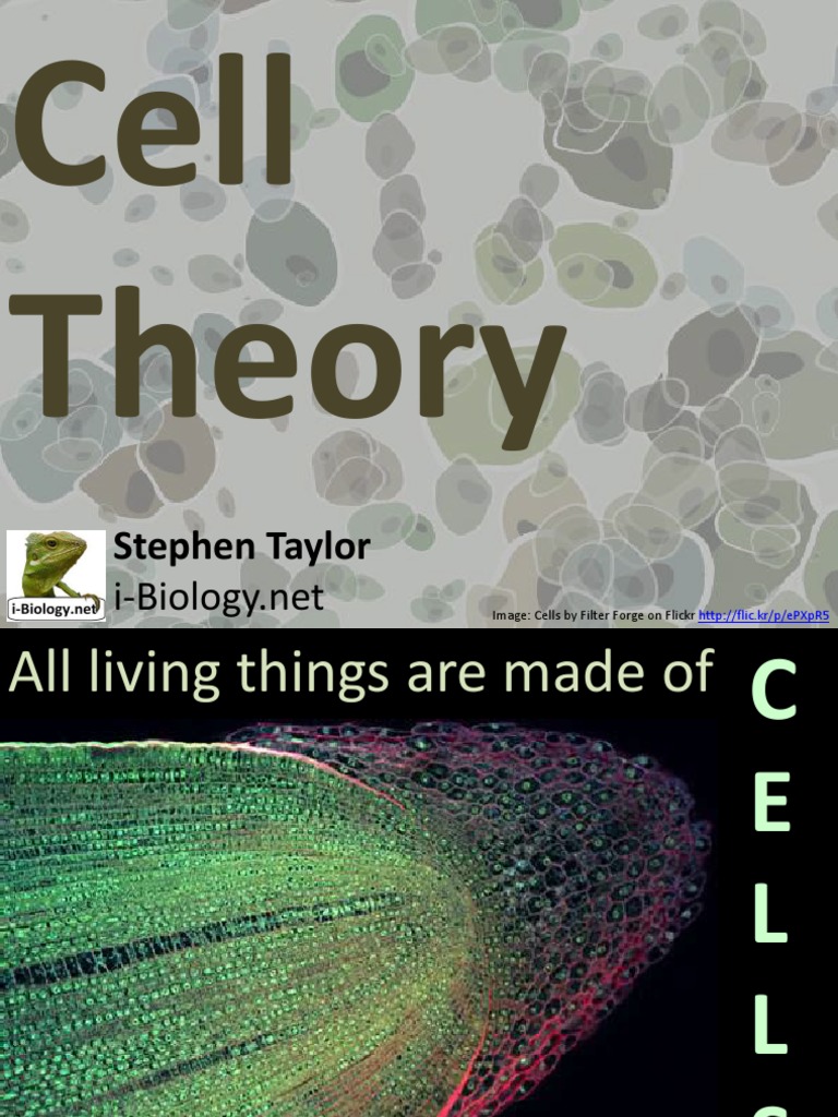 21 Cell Theory 1229337563033670 1 | PDF | Microscope | Cellular ...