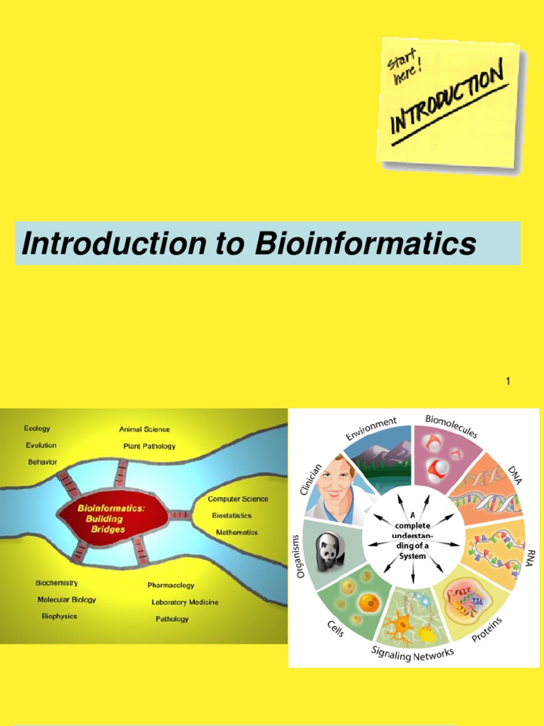 Bioinformatics | Bioinformatics | Dna