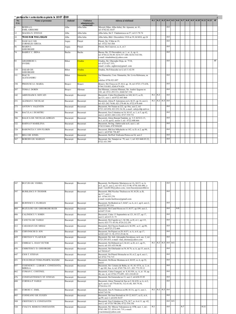 Verificatori Proiect 2019 Romania | PDF