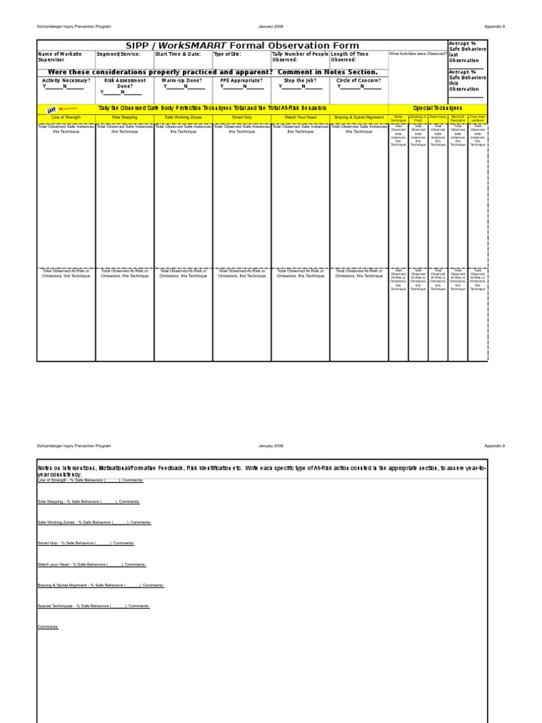 Sipp / Worksmarrt Formal Observation Form | PDF | Psychology | Business