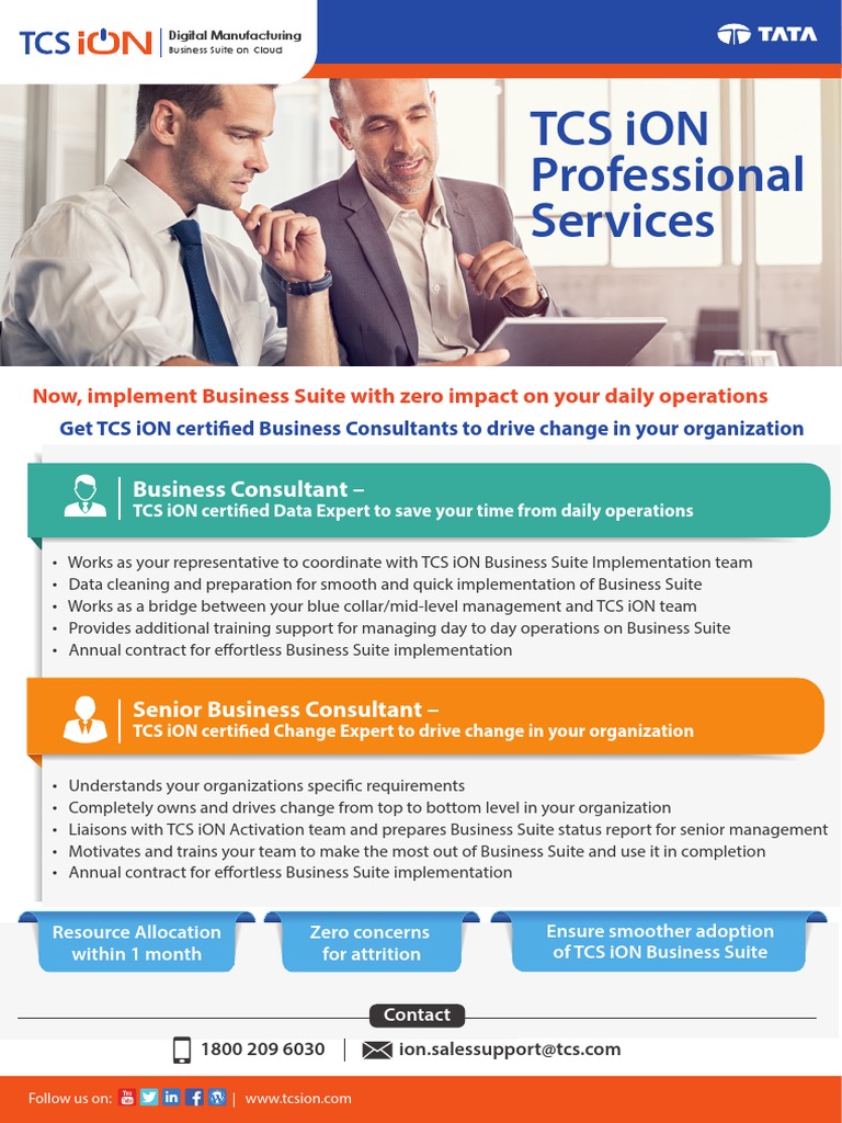 ION Professional Services Flyer | PDF | Finance & Money Management