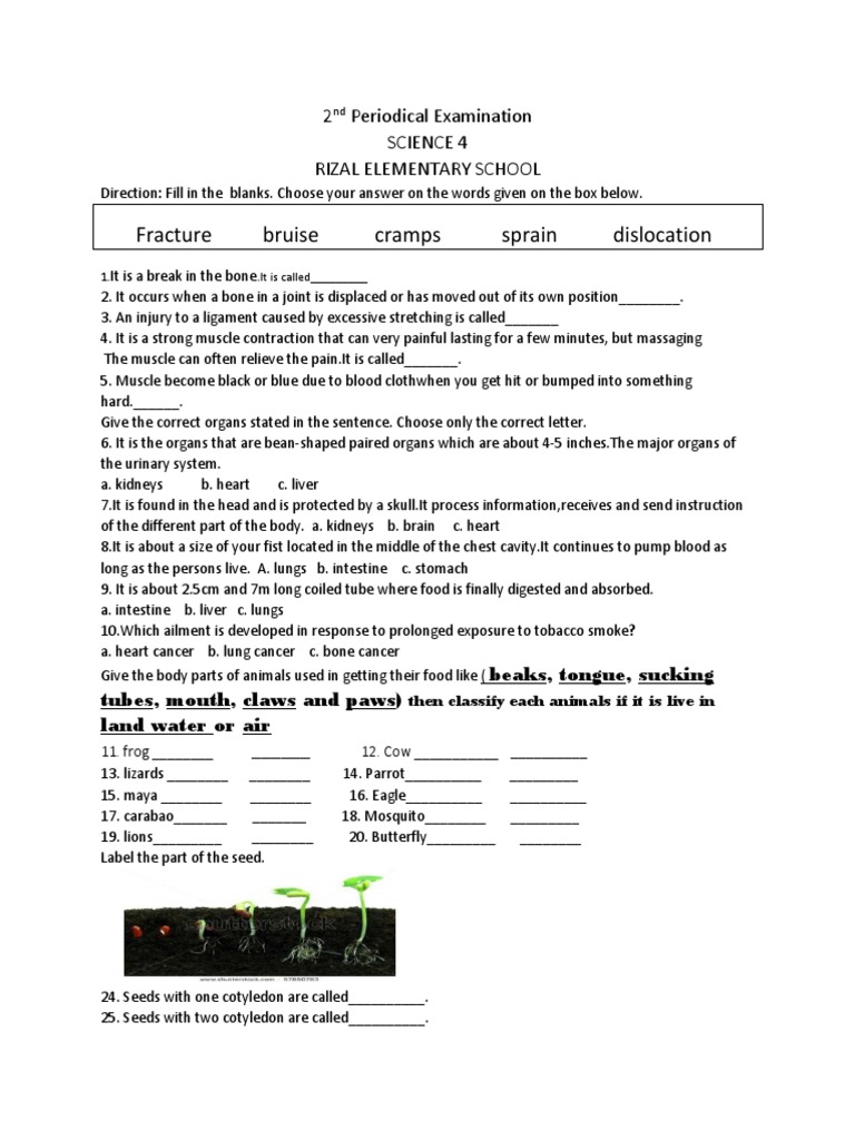 2nd Periodical Examination | PDF | Heart | Cancer
