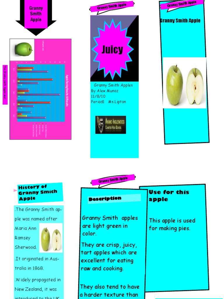 Alex Munoz Apple Brochure | PDF | Apple | Mali