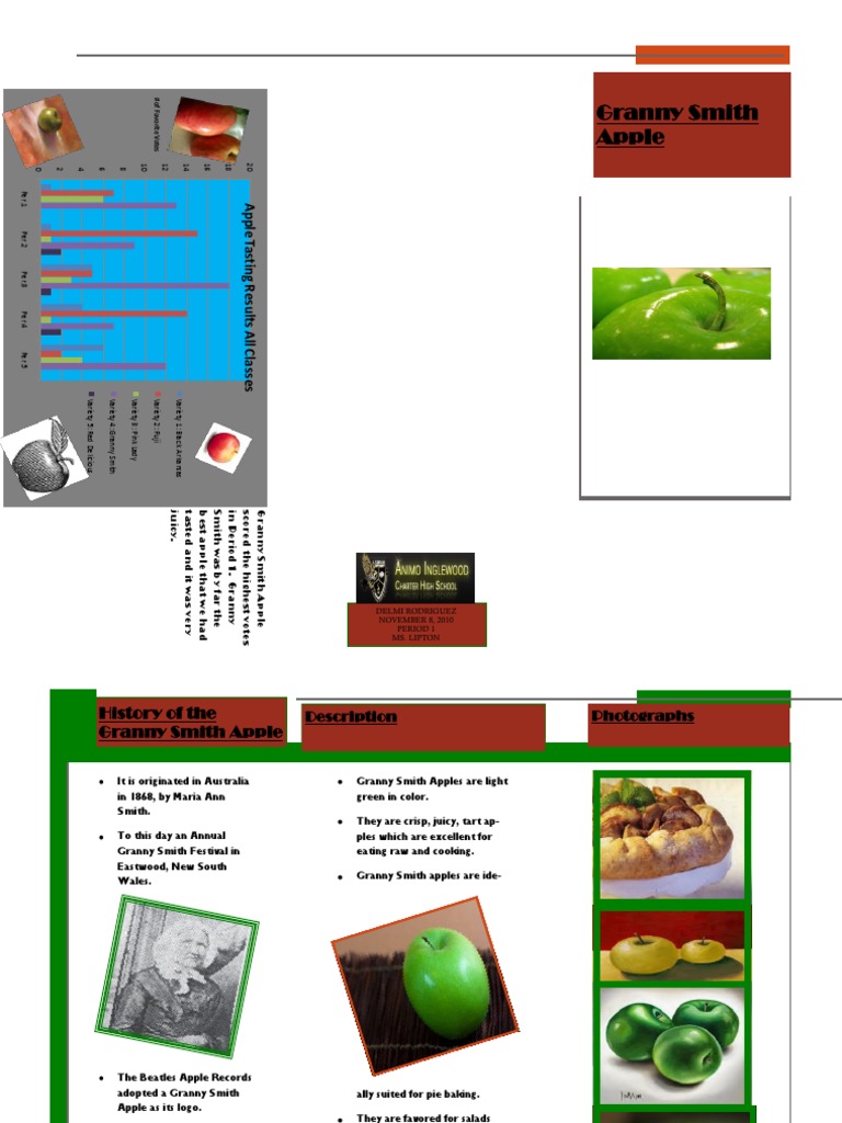 Delmi Rodriguez Apple Brochure | Download Free PDF | Mali | Apple