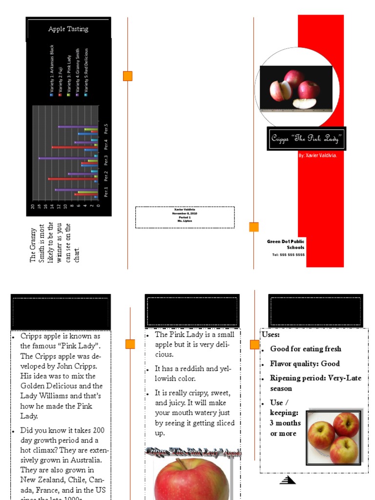 Luis Delgadillo Apple Brochure | PDF | Apple | Edible Fruits