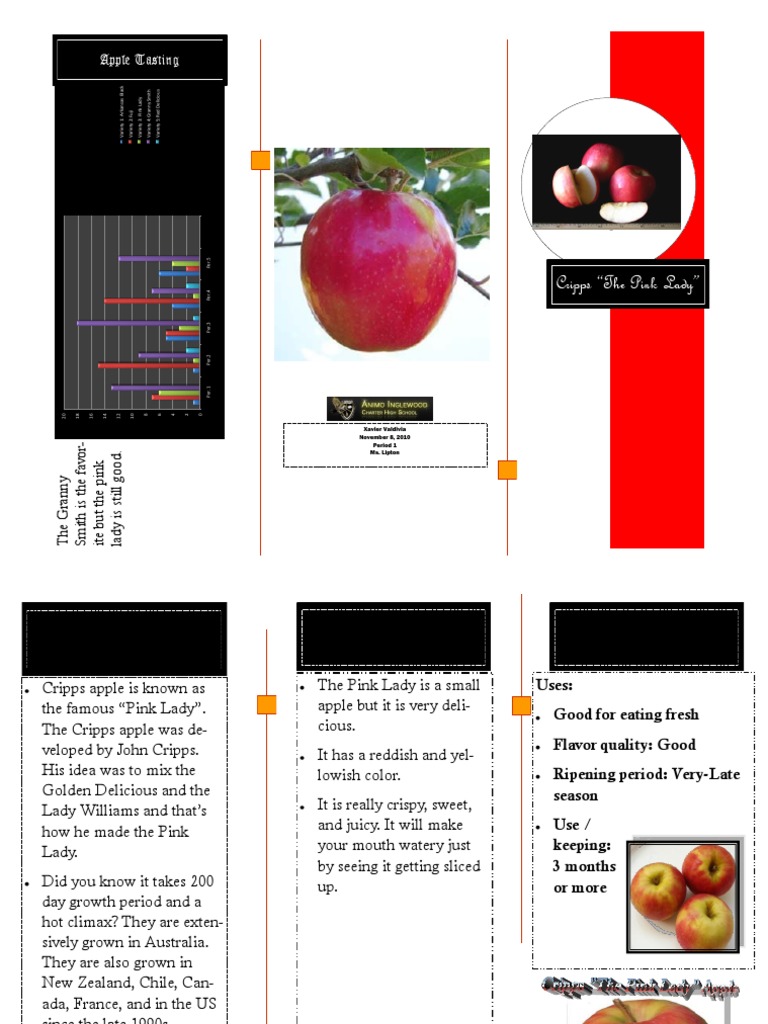 Xavier Valdivia Apple Brochure | PDF | Apple | Foods