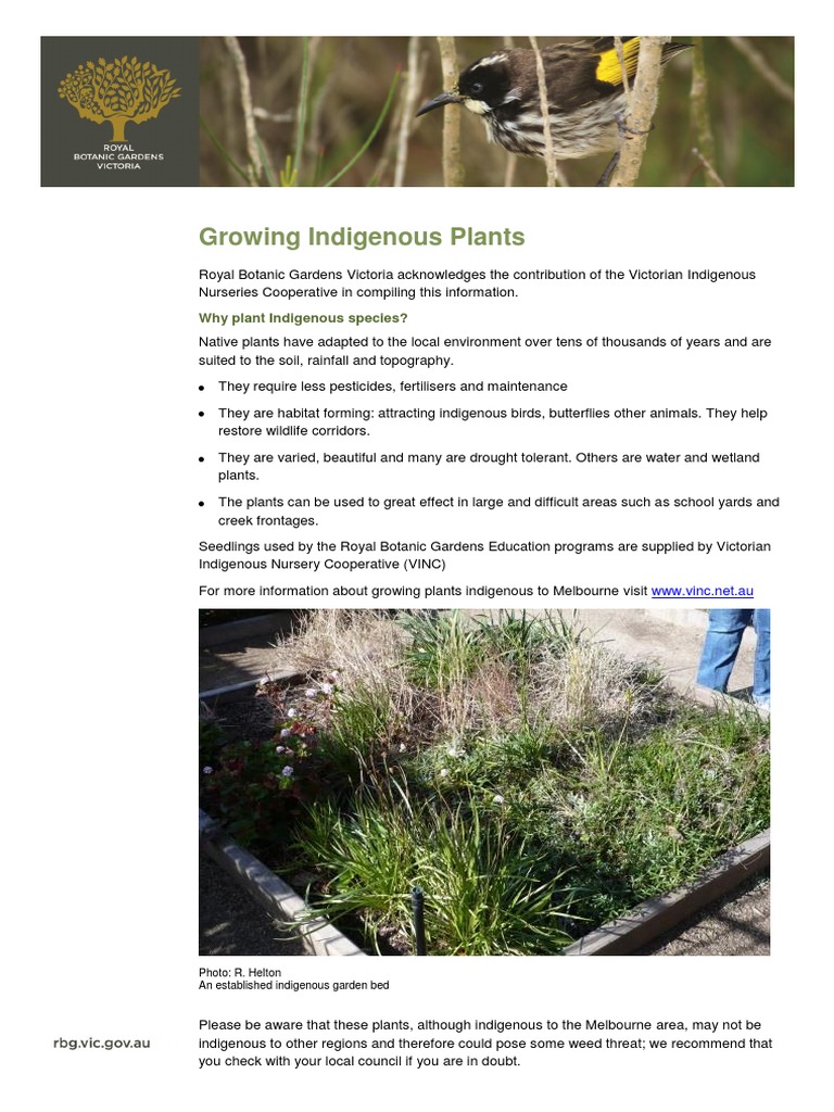 Growing Indigenous Plants: Why Plant Indigenous Species? | PDF ...