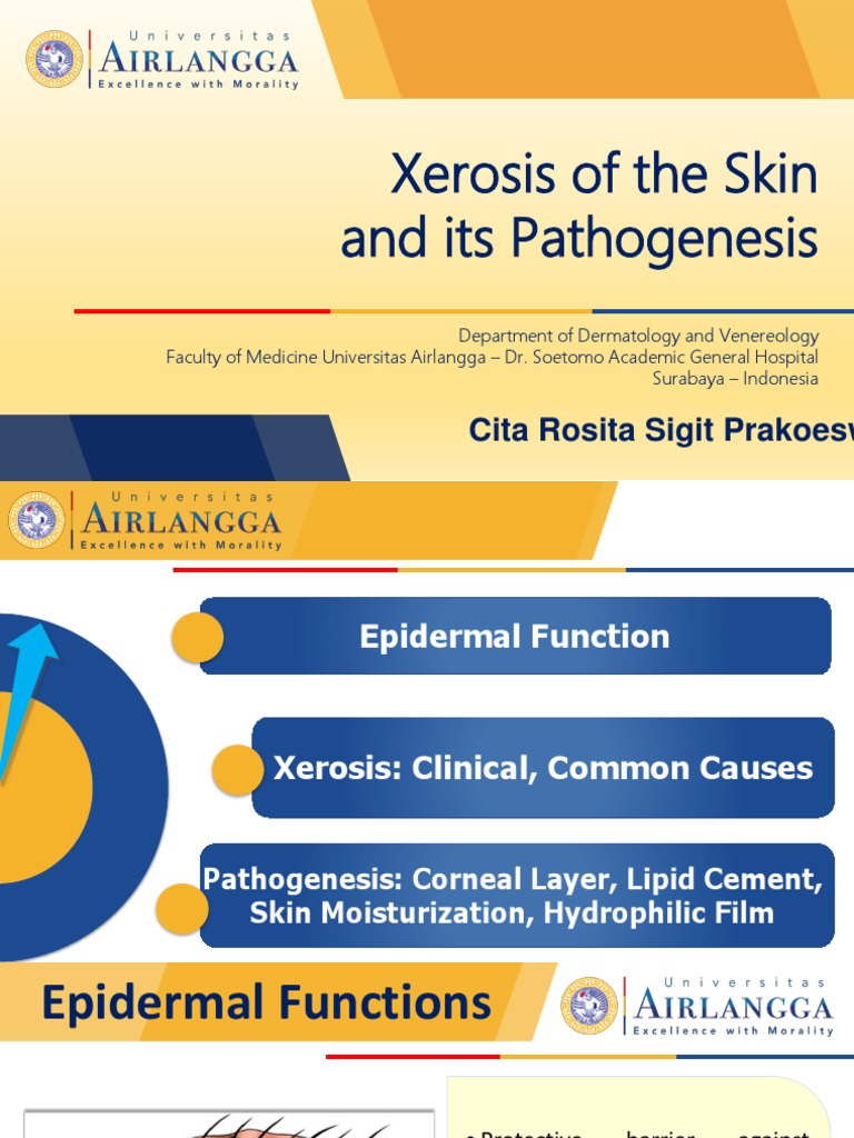 Xerosis | PDF | Skin | Epidermis