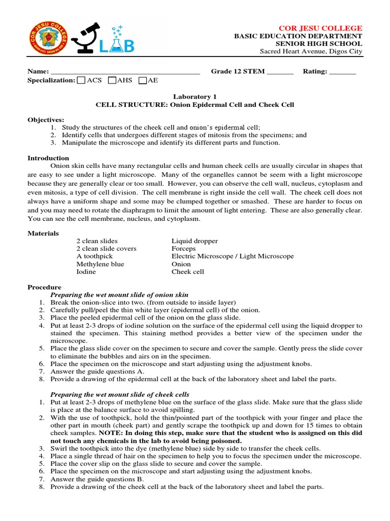 Cor Jesu College: Preparing The Wet Mount Slide of Onion Skin | PDF ...