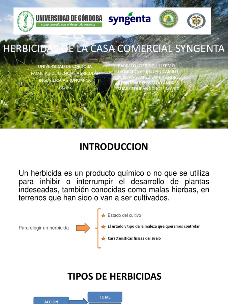 Syn Genta | PDF | Agricultura | Botánica