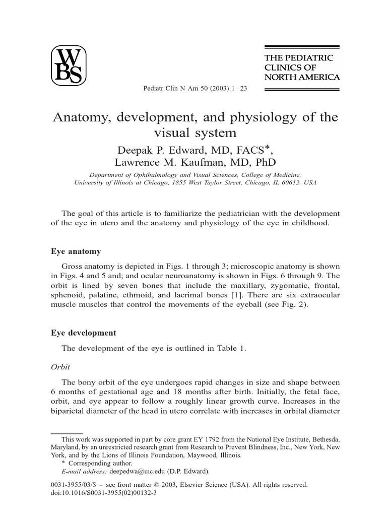 Anatomy, Development, and Physiology of The Visual System | PDF ...