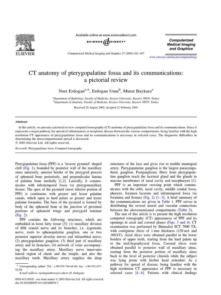 CT Learning | PDF | Human Head And Neck | Human Anatomy