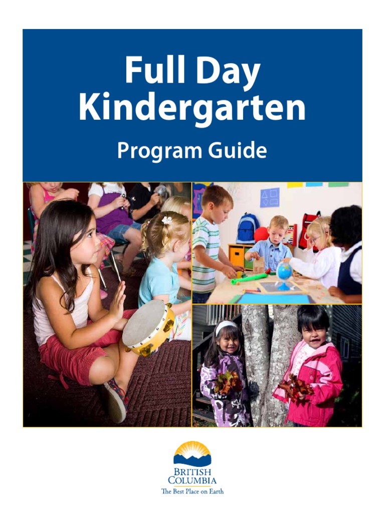 FDK Program Guide | PDF | Neuroplasticity | Brain