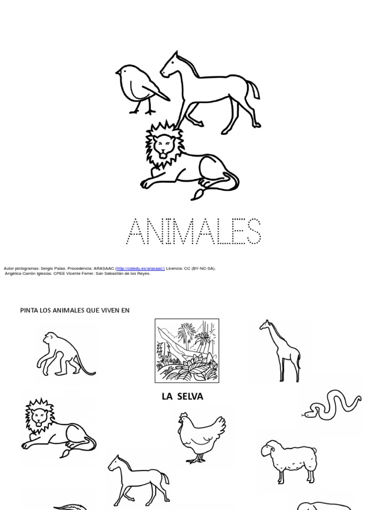 Lectoescritura Animales | PDF | León | Domesticación